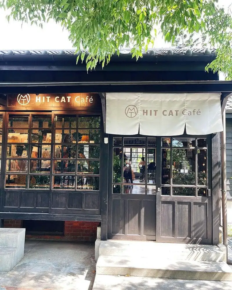 Hit Cat Café 打貓咖啡｜嘉義日式風格咖啡館 －嗨放HaveFunDay